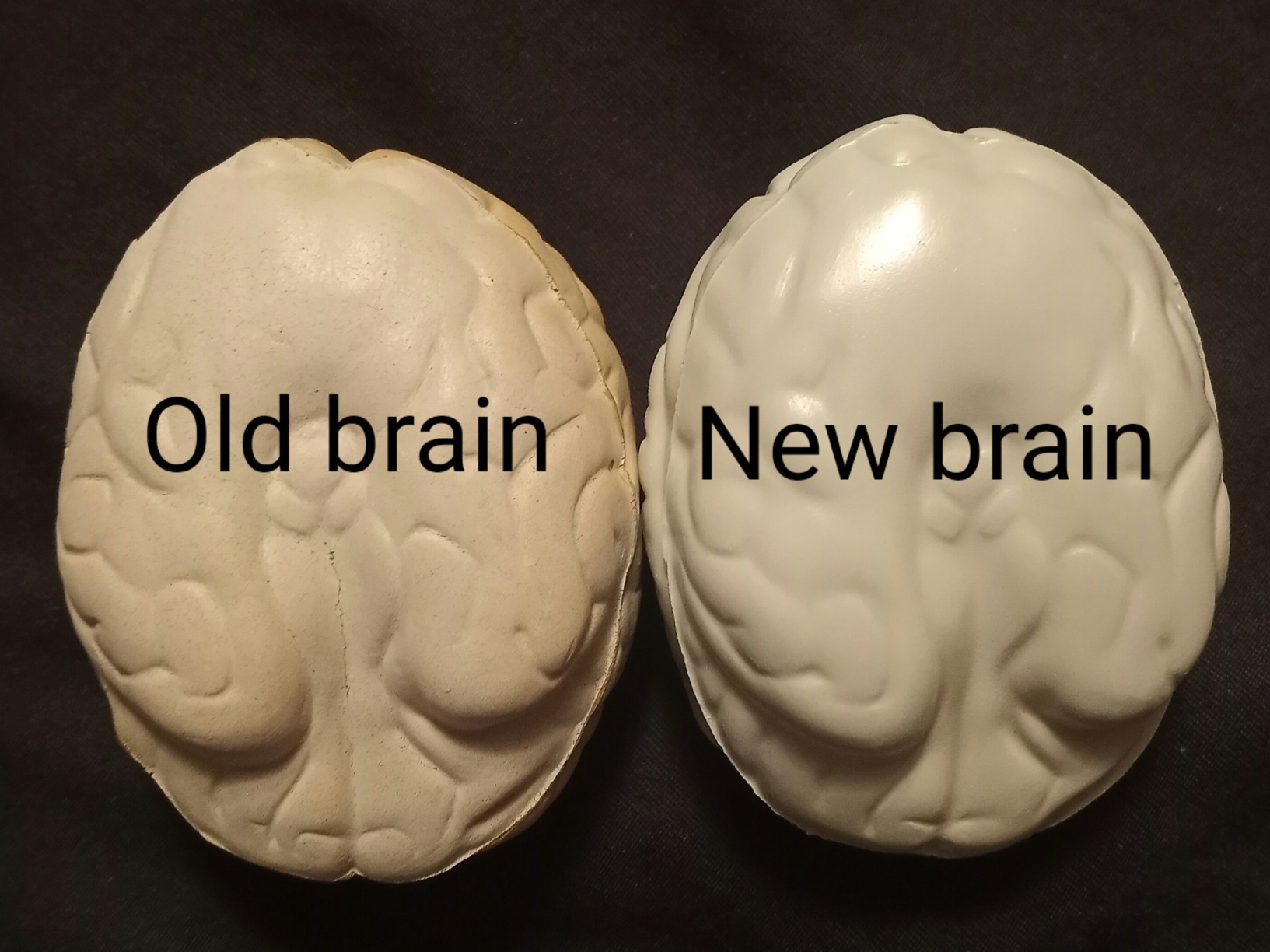 Amazon.com: Brain Stress Toy - Gray by Ariel : Toys & Games