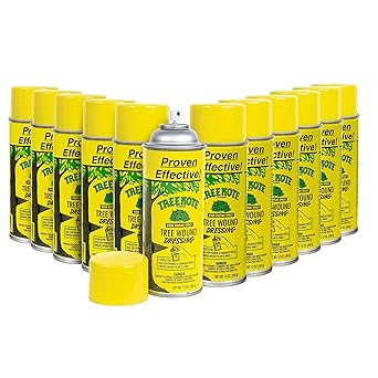 Amazon.com : Treekote Tree Pruning Sealer Aerosol Spray, Tree Wound ...