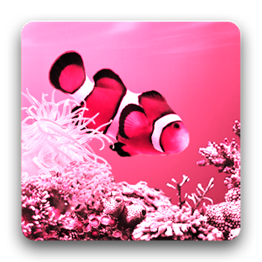3D Aquarium Fish Live WallPaper - App on Amazon Appstore