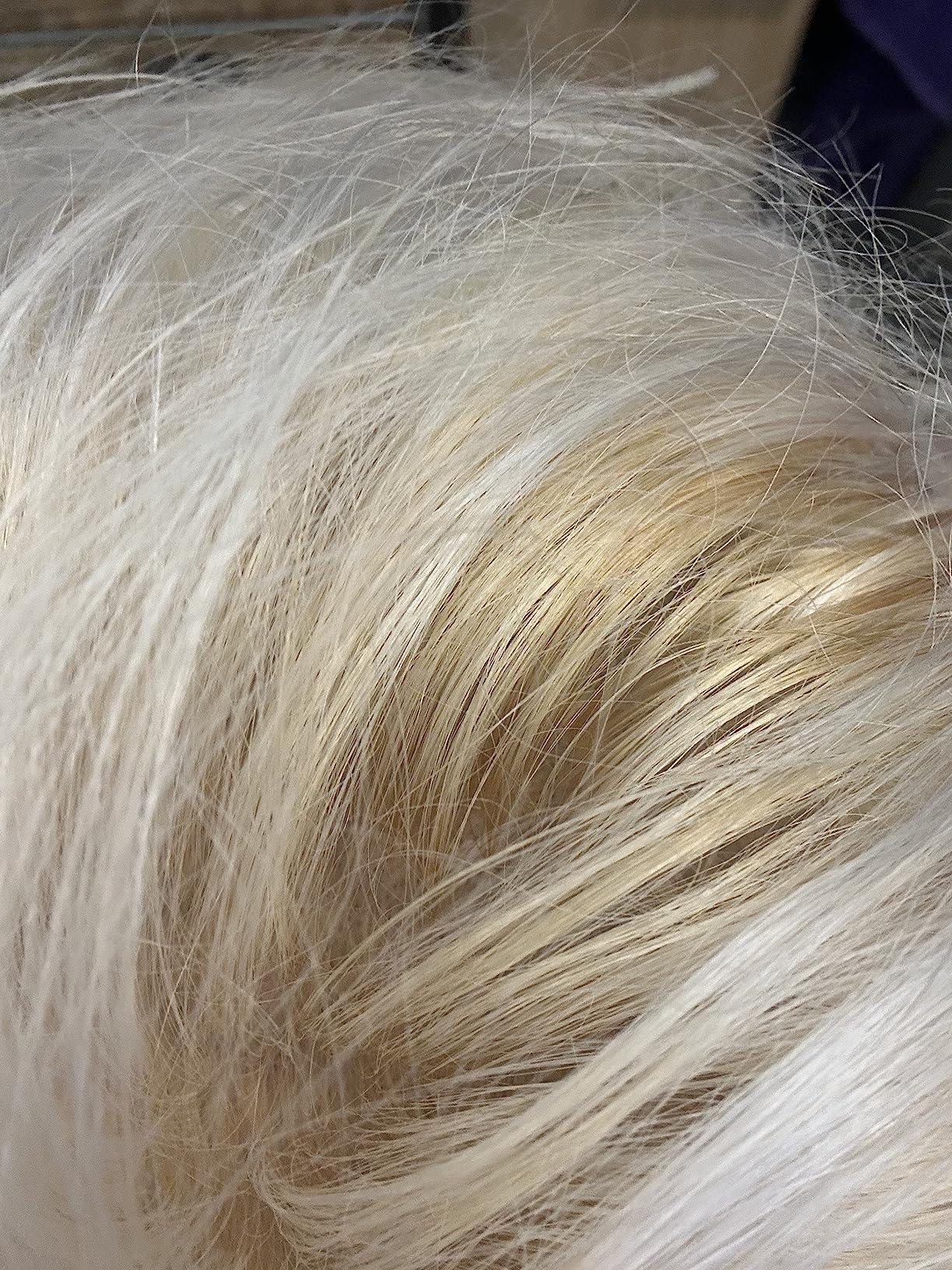 Keracolor Color Plus Clenditioner, Light Pink, 1 L : Amazon.com.au: Beauty