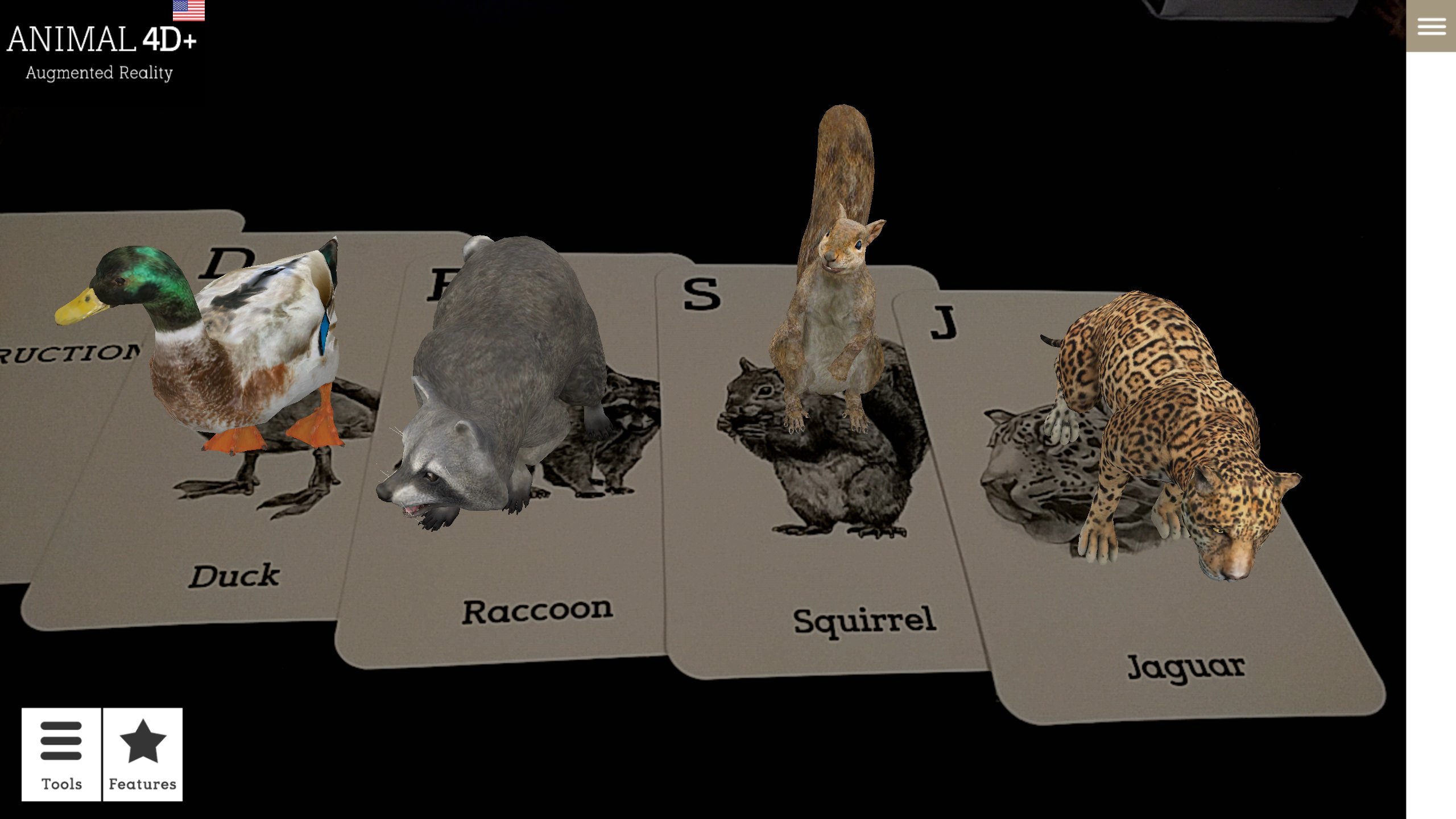 Octagon Studio 6 New Animal 4d Flash Cards With New | Desertcart Bahamas