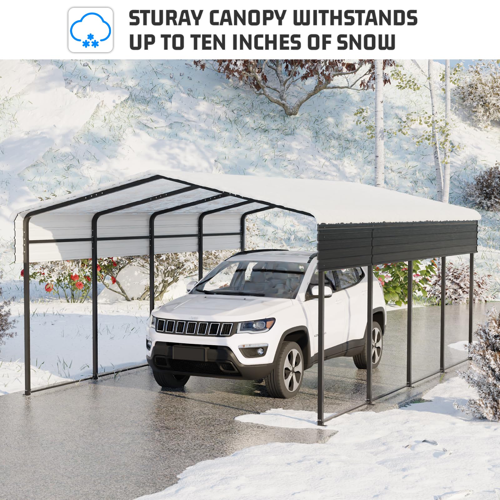NUGRIART Abri D'auto En Métal De 3 X 6 M Avec Toit En Acier Galvanisé