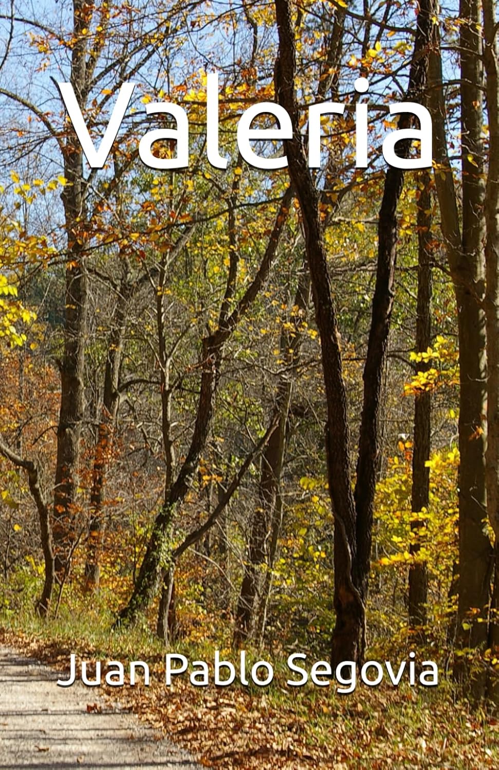 Amazon.com: Valeria (Spanish Edition): 9798871672440: Segovia, Juan ...