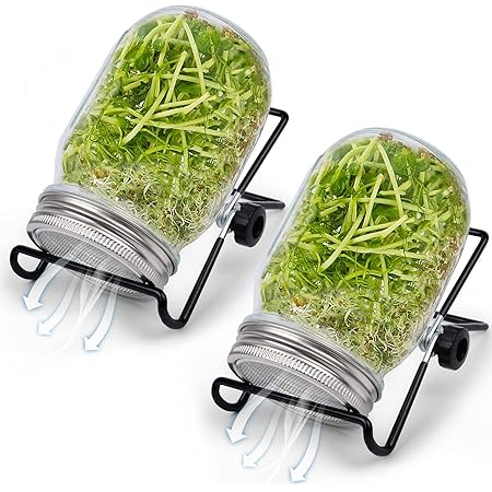 Amazon.com : Seed Sprouting Jar Kit - 2 Sprouter Mason Jars with Screen ...