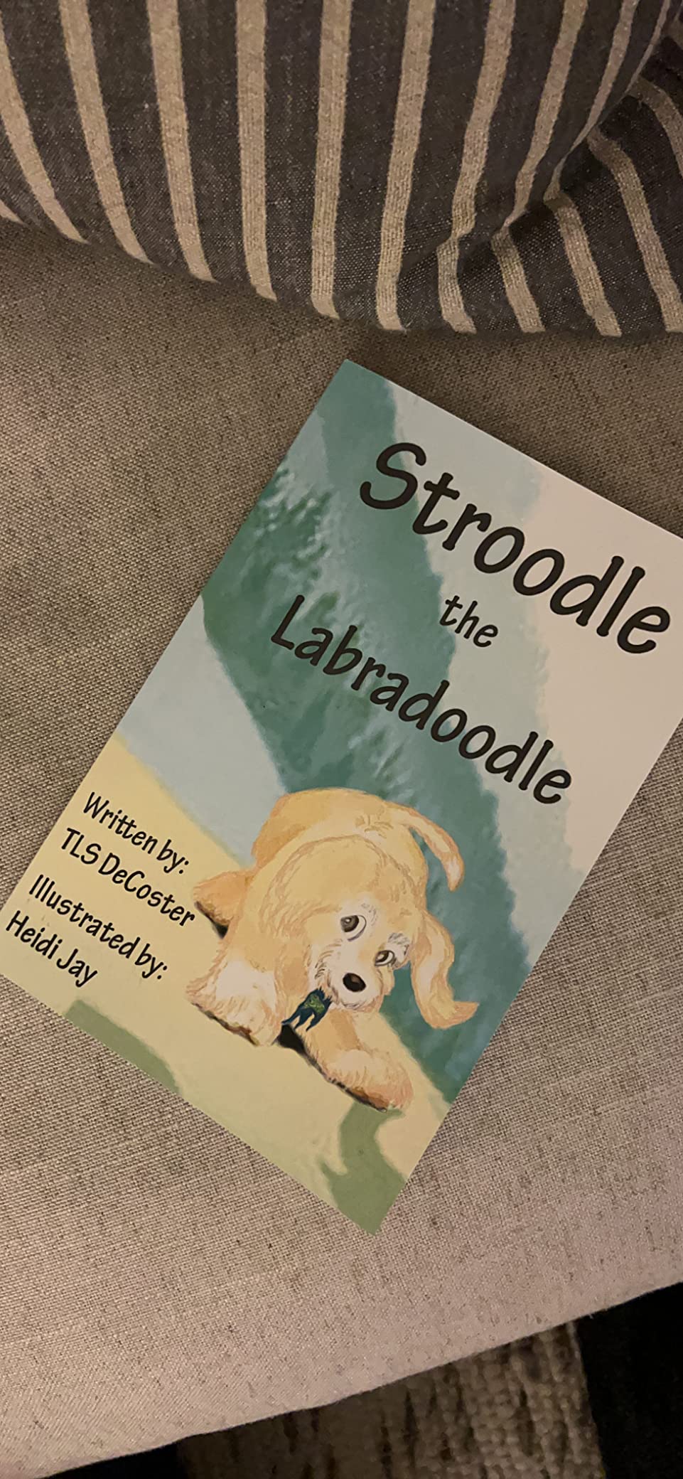 Stroodle the Labradoodle - Kindle edition by DeCoster, TLS, Jay, Heidi ...