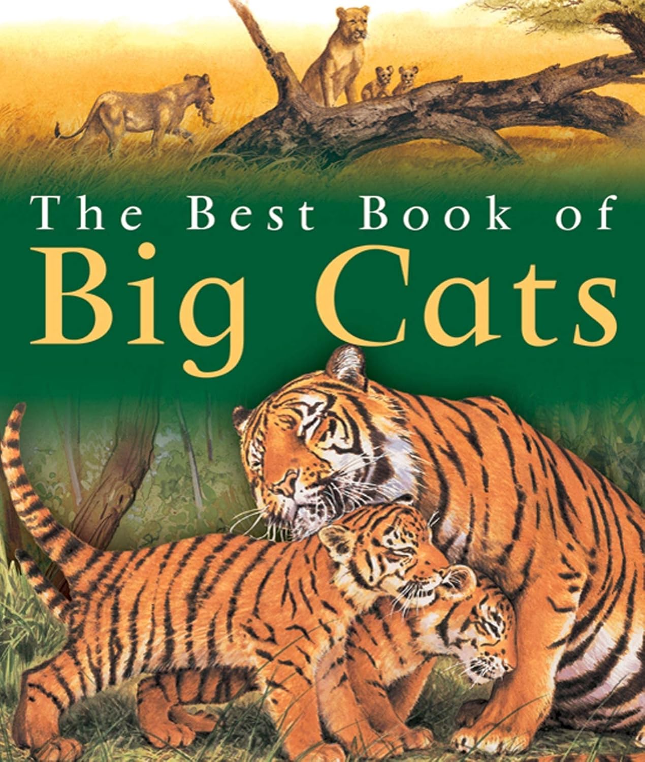 The Best Book of Big Cats: Gunzi, Christiane: 9780753459867: Amazon.com ...