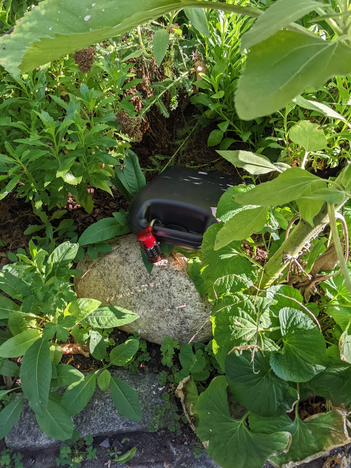 $2/mo - Finance Gym Locker Lock,5 Letter Word Lock,5 Digit Combination ...