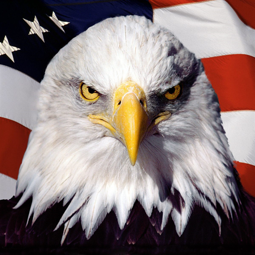 Liberty Wireless - App on Amazon Appstore