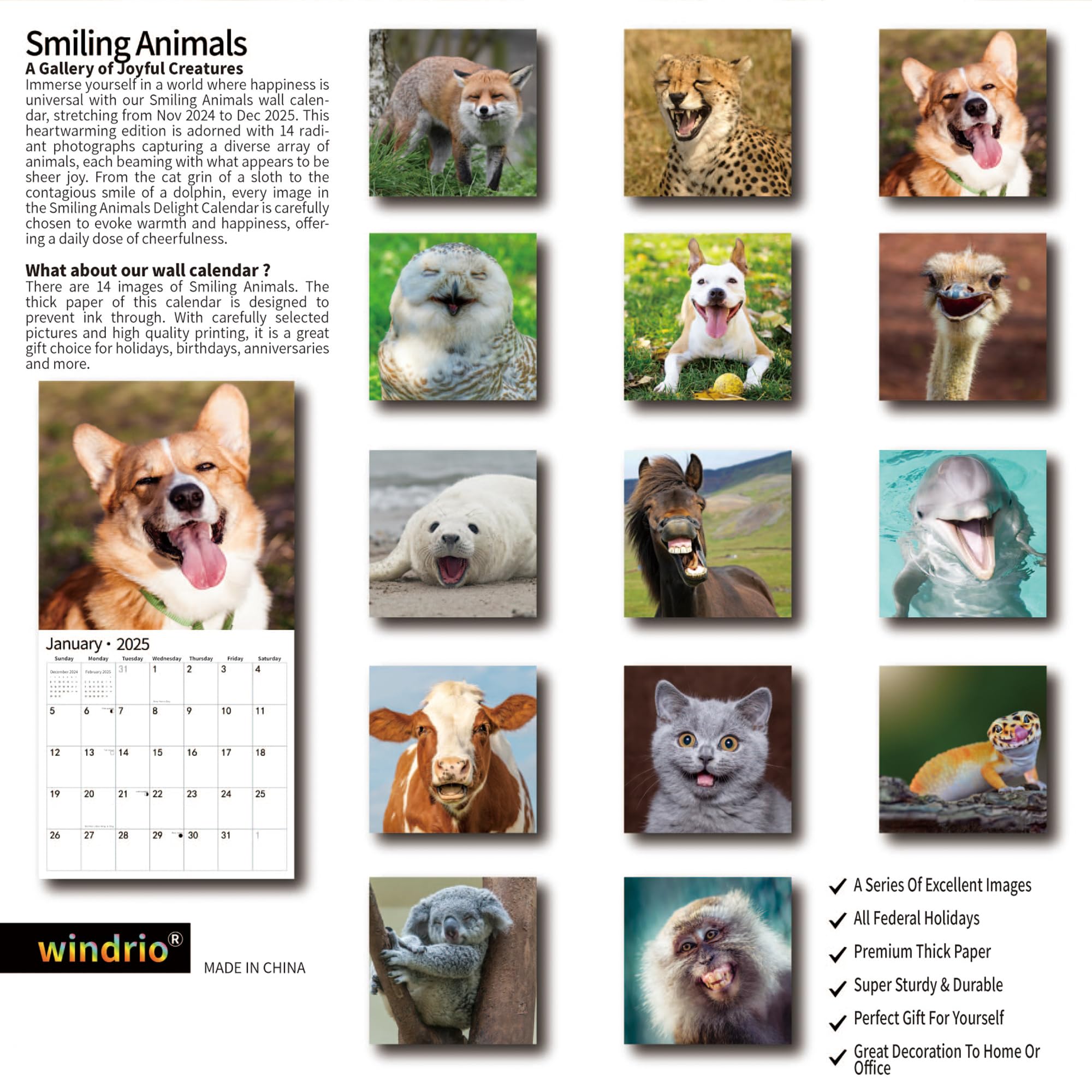 Snapklik.com : 2025 Wall Calendar,Calendar 2025, November 2024 ...