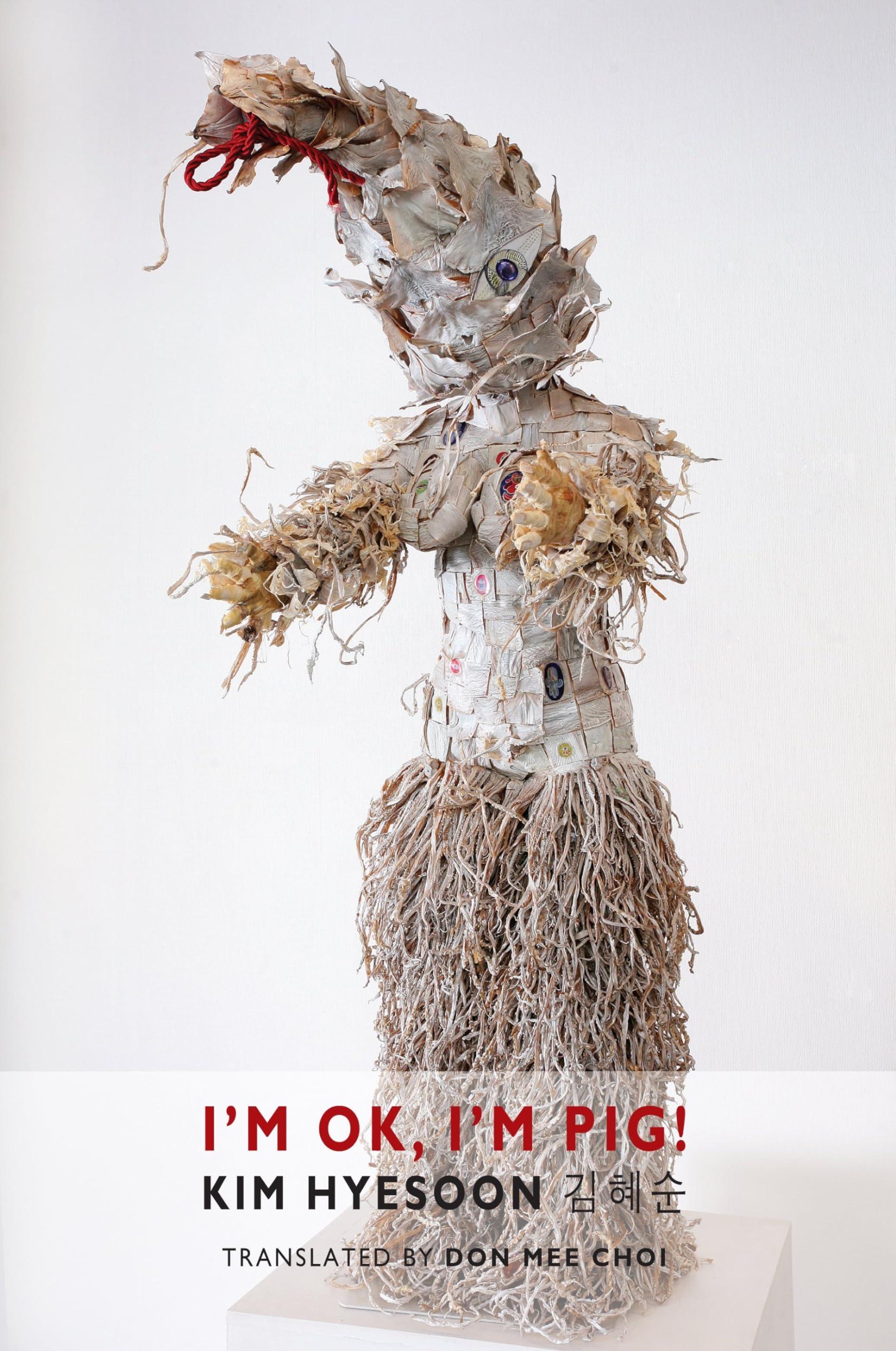 I'm Ok, I'm Pig!: Hyesoon, Kim: 9781780371023: Amazon.com: Books