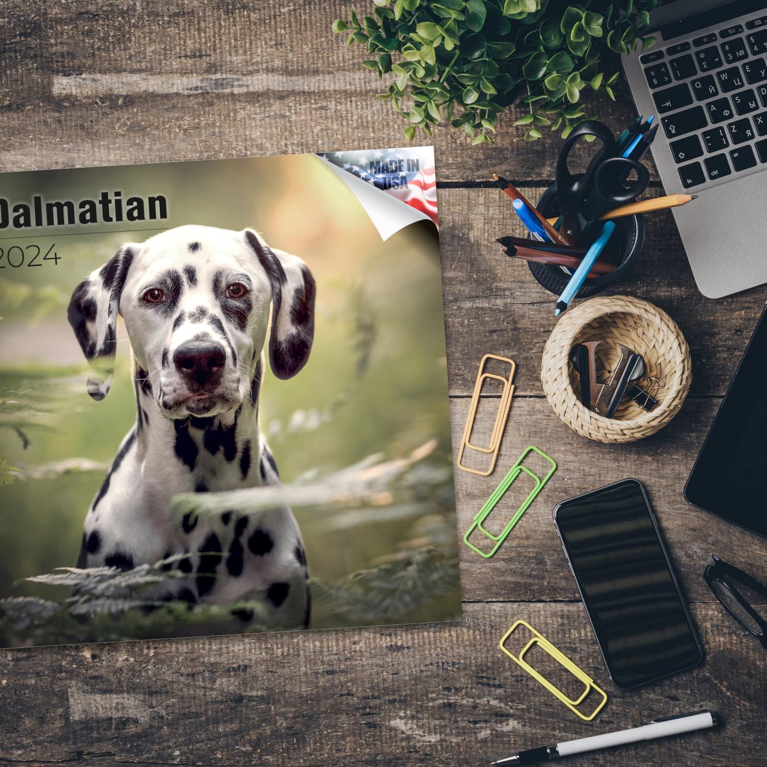Snapklik.com : 2023 2024 Dalmatian Calendar - Dog Breed Monthly Wall ...