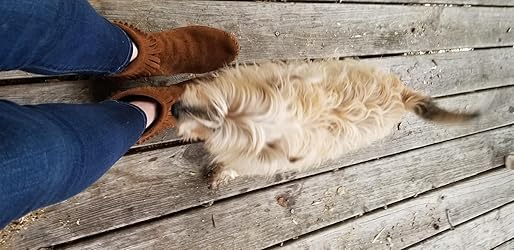 Amazon.com | Minnetonka Women's Back-Zipper Bootie | Ankle & Bootie