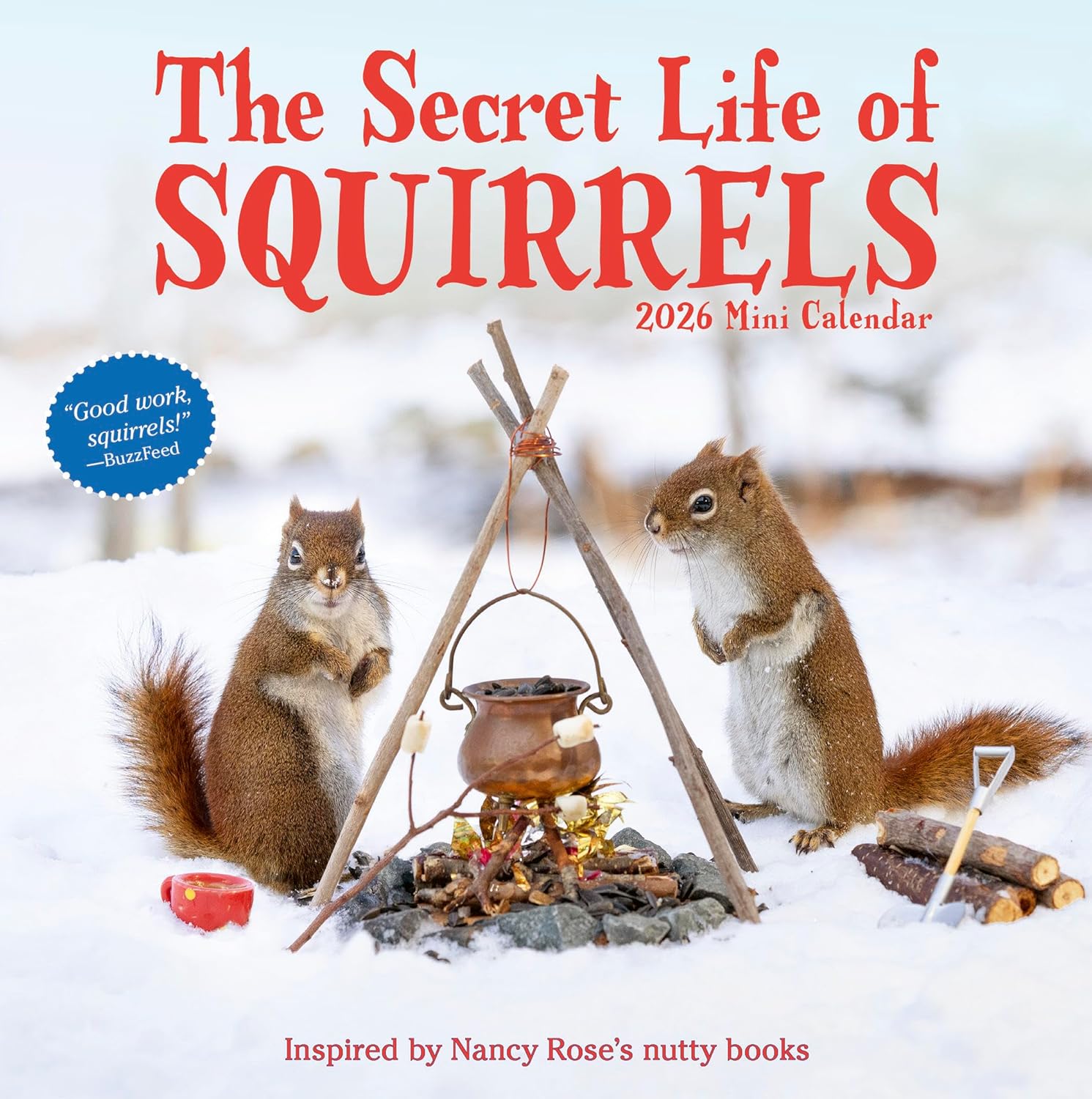 Amazon.com: Secret Life of Squirrels Mini Wall Calendar 2026: ...