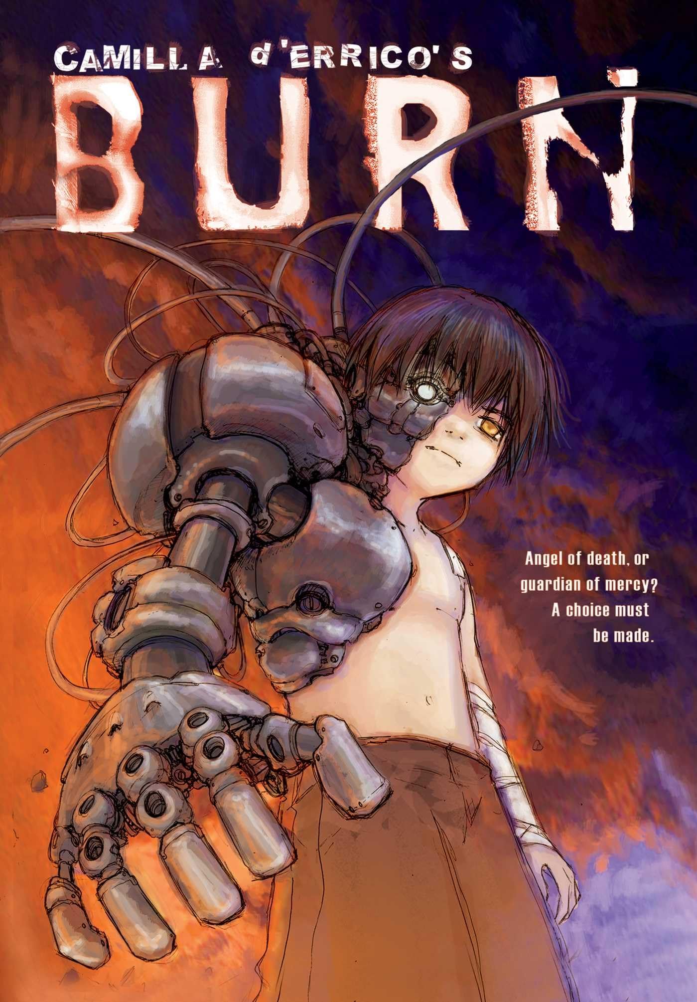 Camilla d'Errico's Burn: d'Errico, Camilla, Sanders, Scott, d'Errico ...