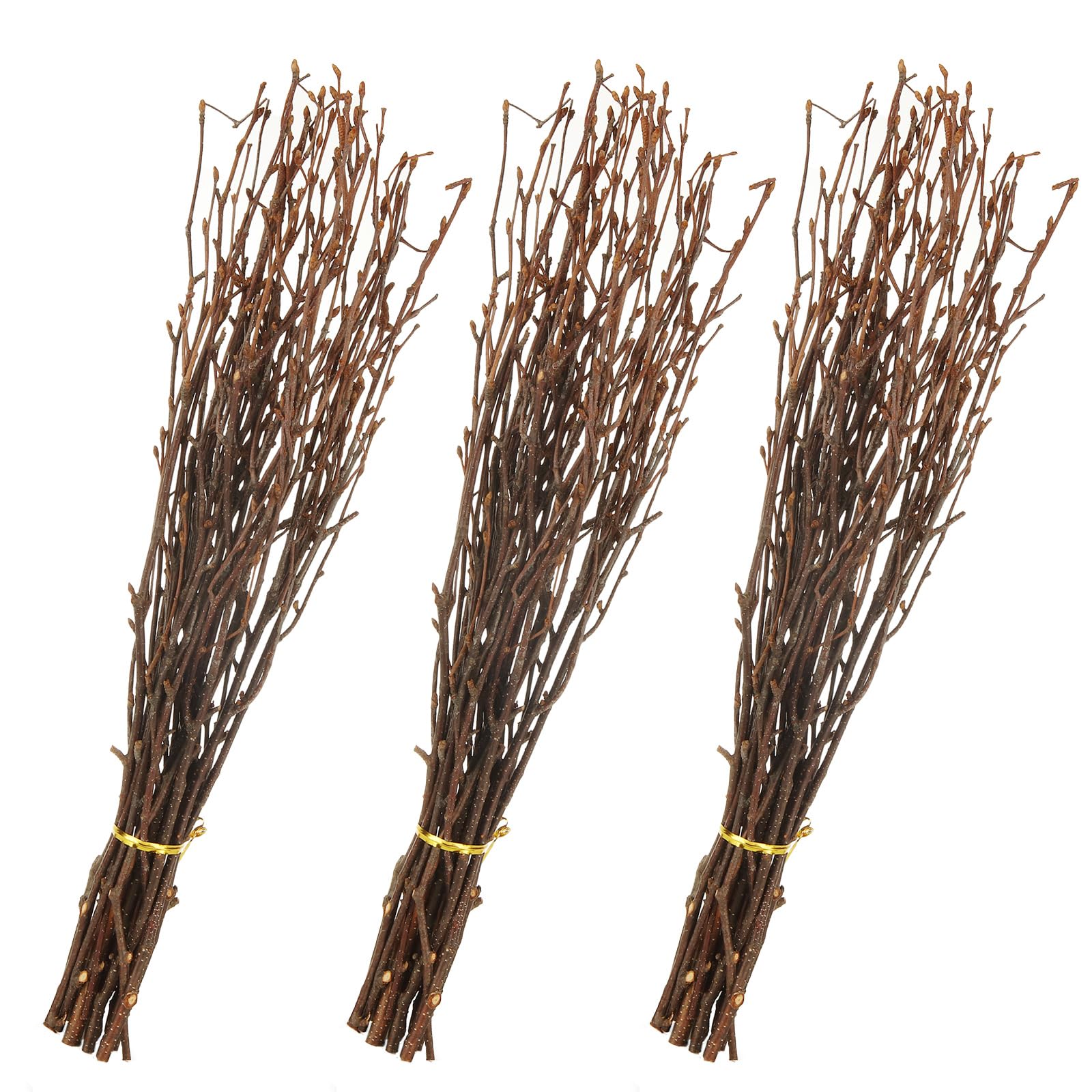Amazon.com: SHUESS SHUS-BirchTwigs-120PCS-231030fa 120 PCS Natural ...