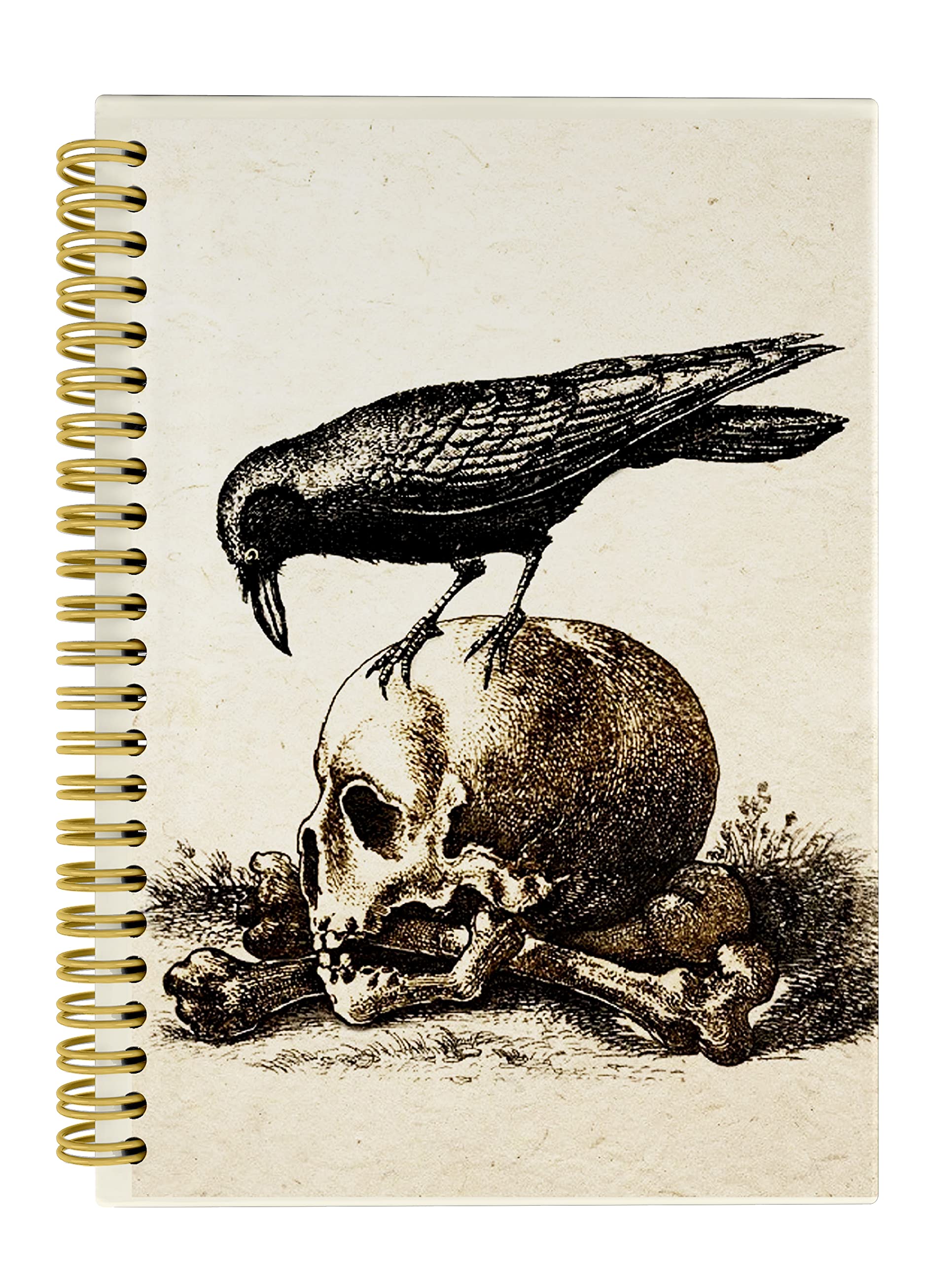 Amazon.com : Knibeo Skull Gothic Journal Notebook - Witch Journal, 5.5× ...