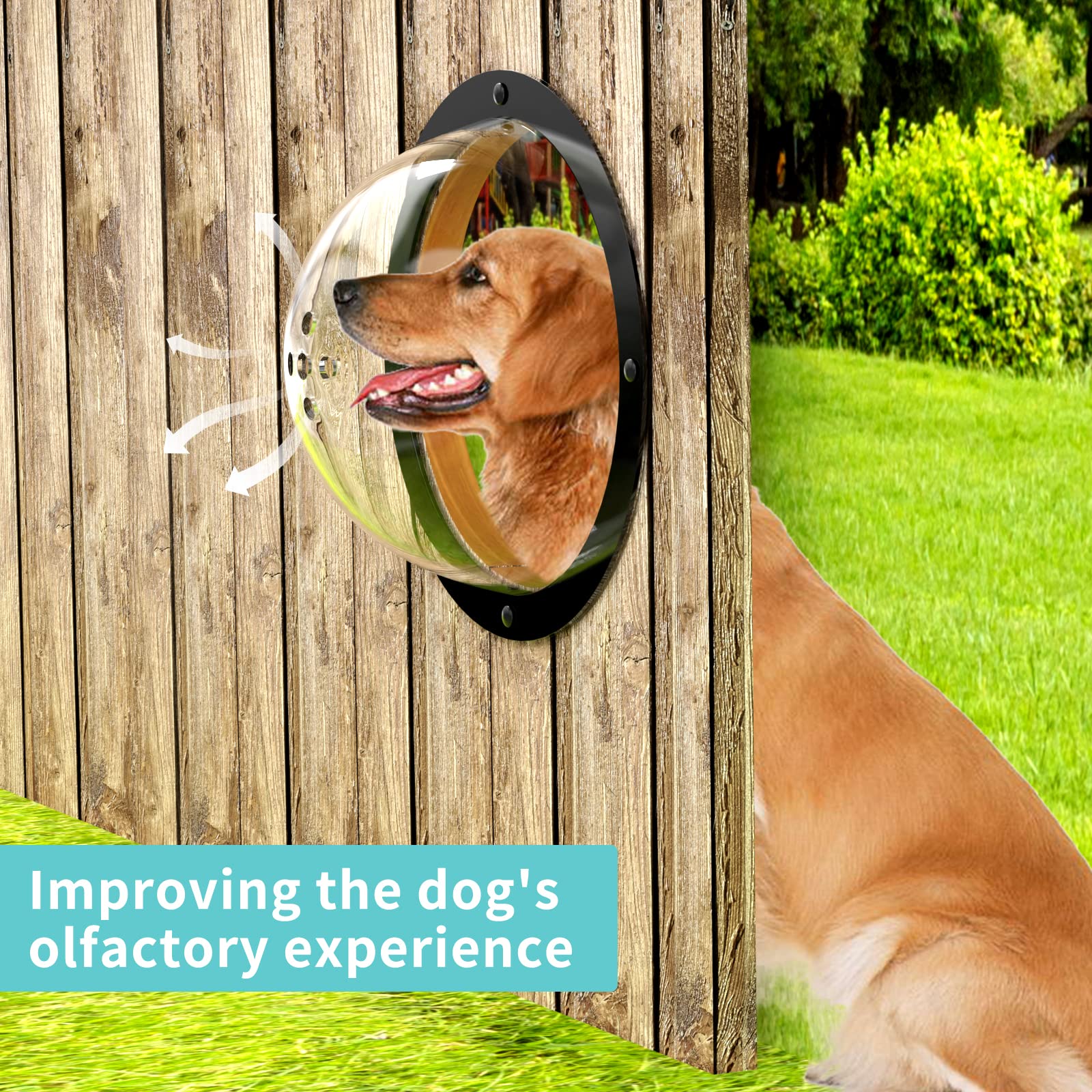 Snapklik.com : HIIMIEI 2 Pack Dog Fence Window, Acrylic Clear Dome View