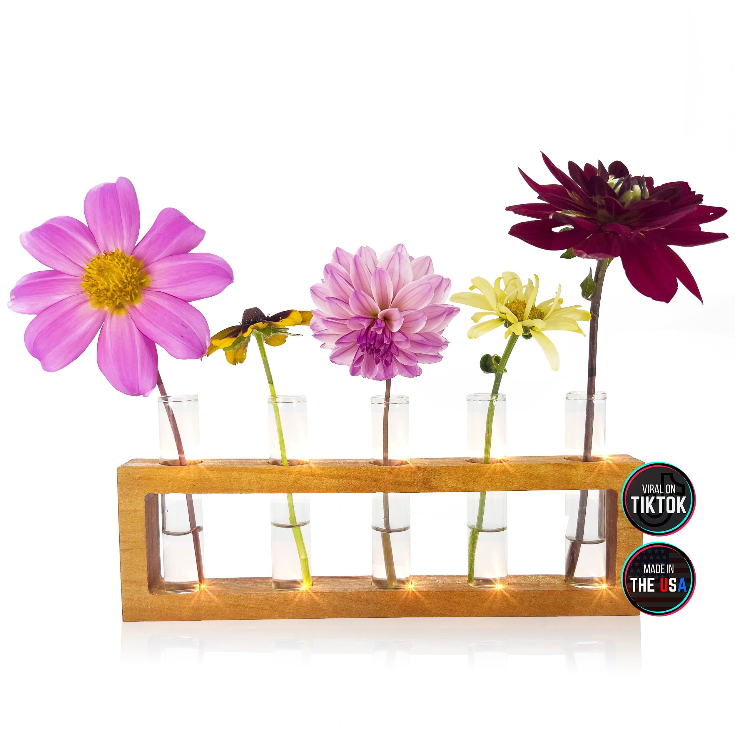 Amazon.com: Plant Propagation Station with Cute Wooden Stand – Plant ...