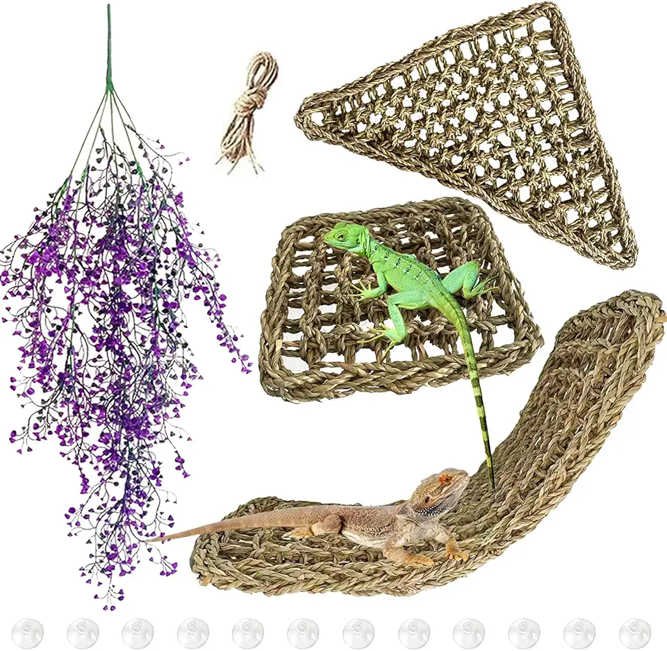 Understanding How Lizards Shed Their Skin: A Fascinating Natural ...