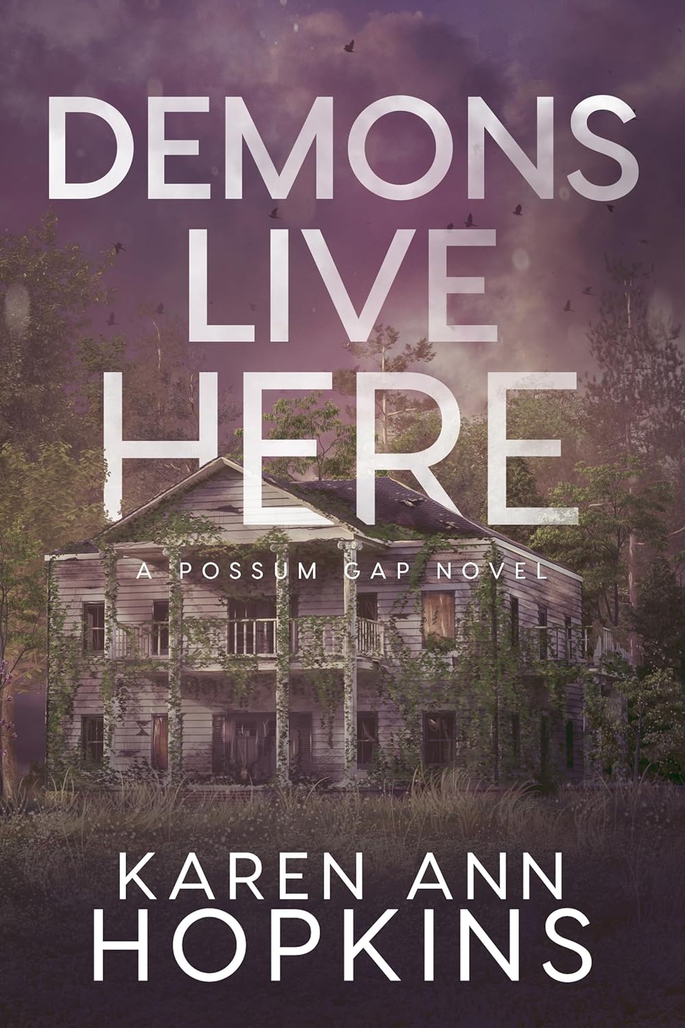 Amazon.com: Demons Live Here (A Possum Gap Novel Book 4) eBook : Hopkins, Karen Ann: Kindle Store