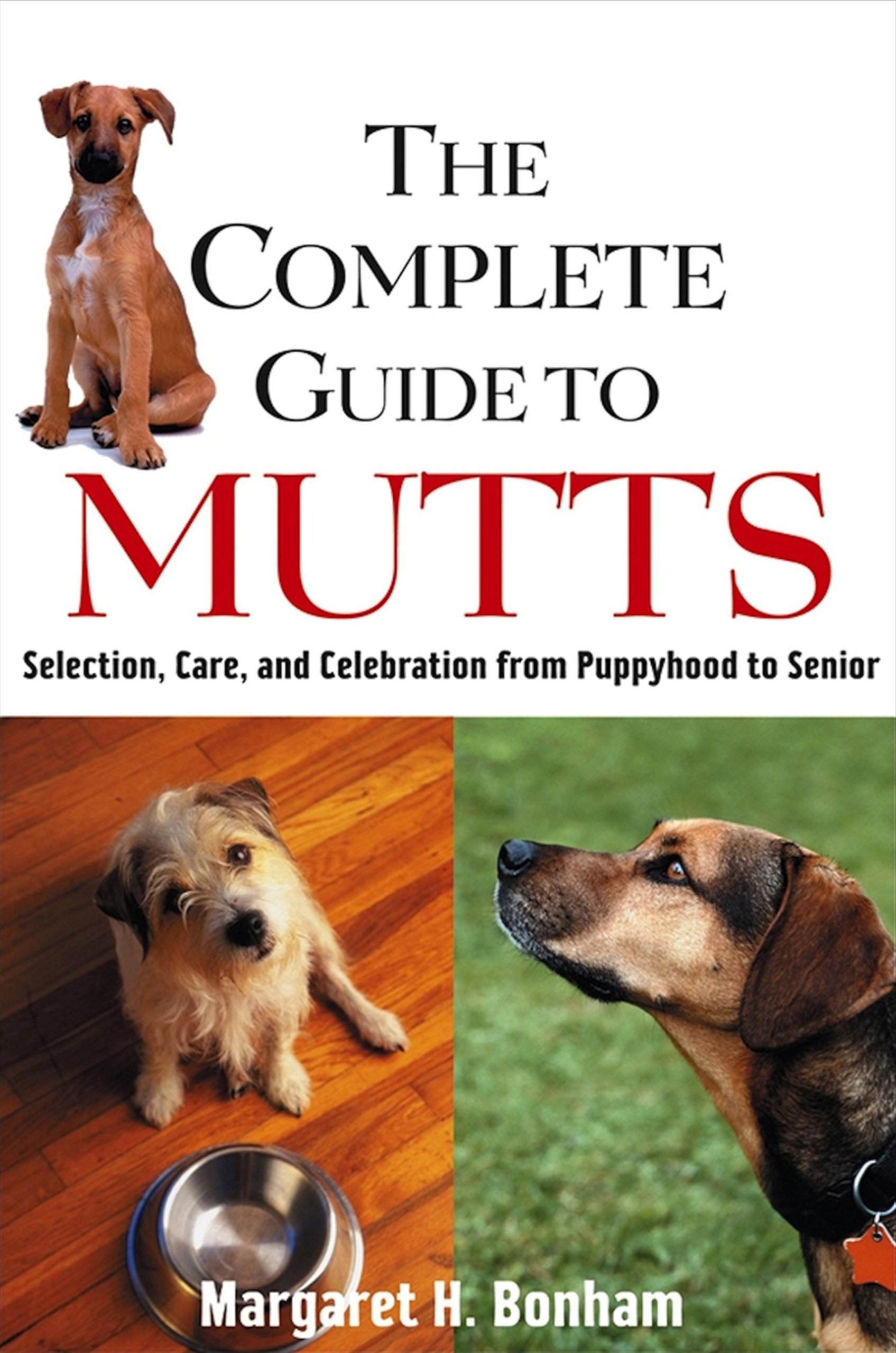 The Complete Guide to Mutts: Selection, Care and Celebration from ...