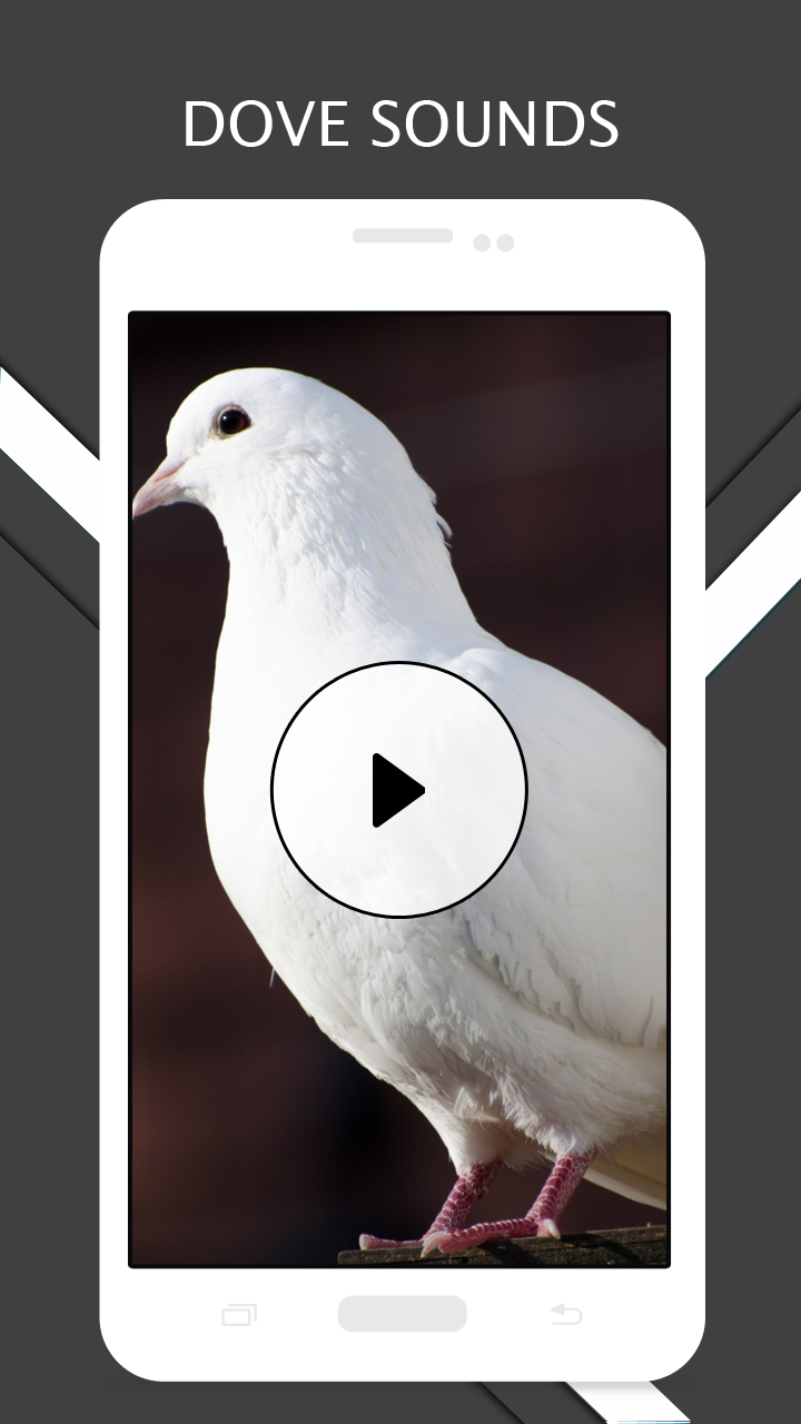 Dove Sounds And Ringtones - App on Amazon Appstore