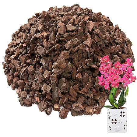 Amazon.com : 5 Quarts Orchid Potting Bark, Sun-Dried New Zealand Medium ...