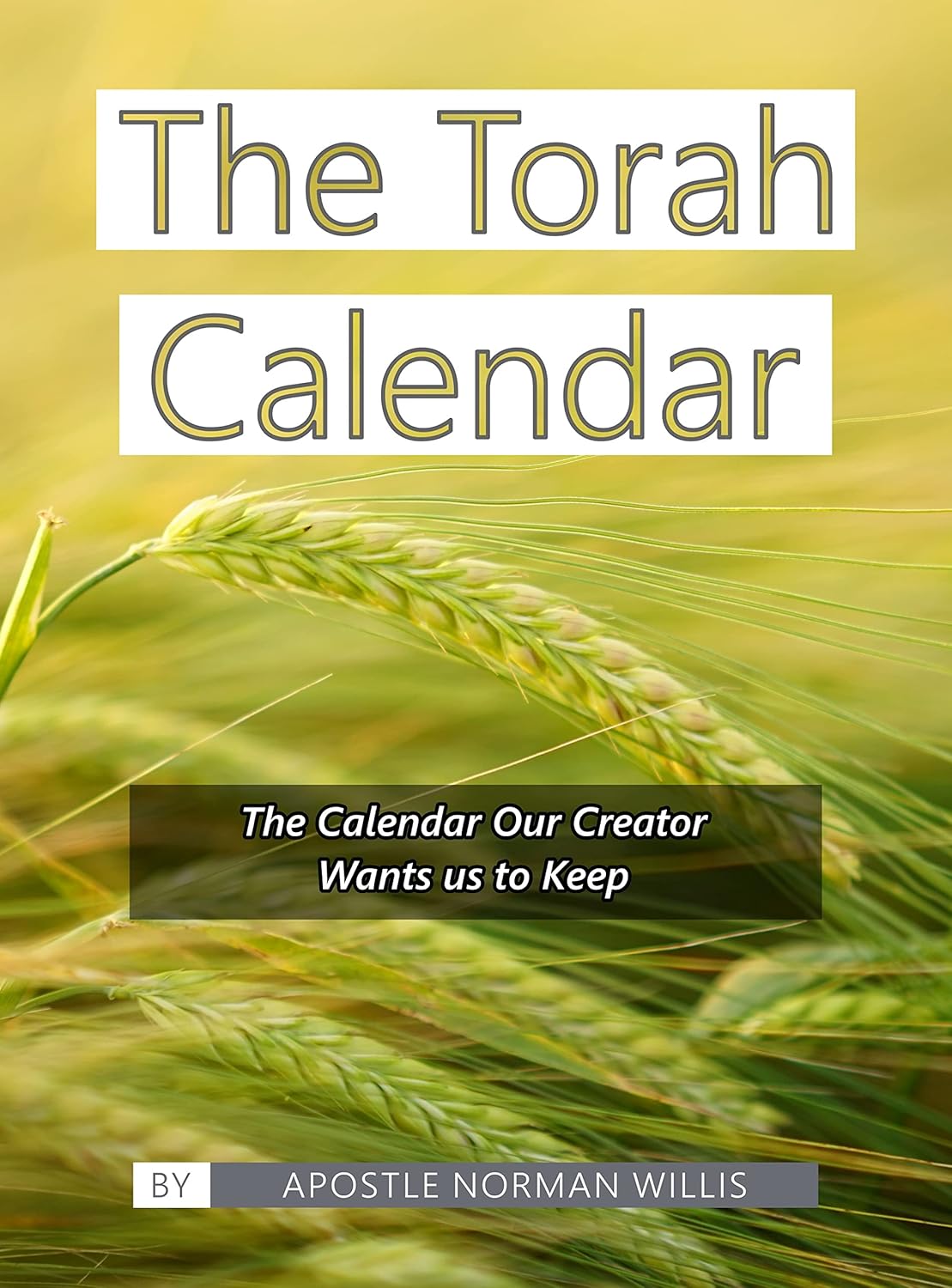The Torah Calendar: Yahweh's Days Of Worship - Kindle edition by Willis ...