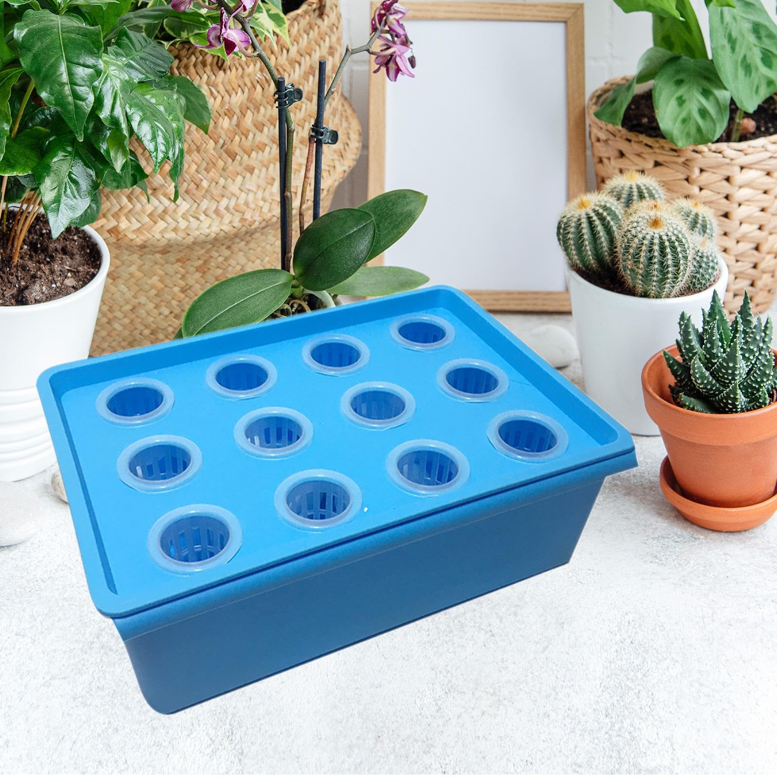 Hydroponic Container Systems China Hydroponic Grow System Shipping