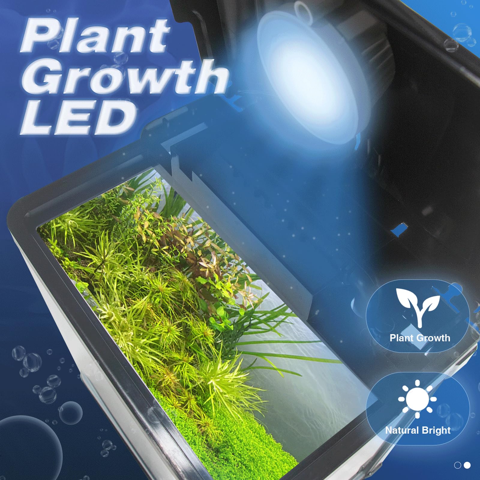 Snapklik.com : Small Fish Tank, 2 Gallon Glass Aquarium, Betta Fish ...