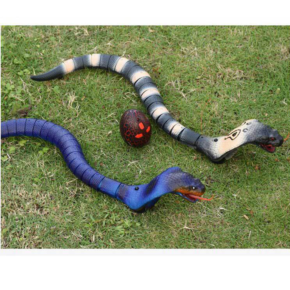 Watch RC Snake Toy on Amazon Live