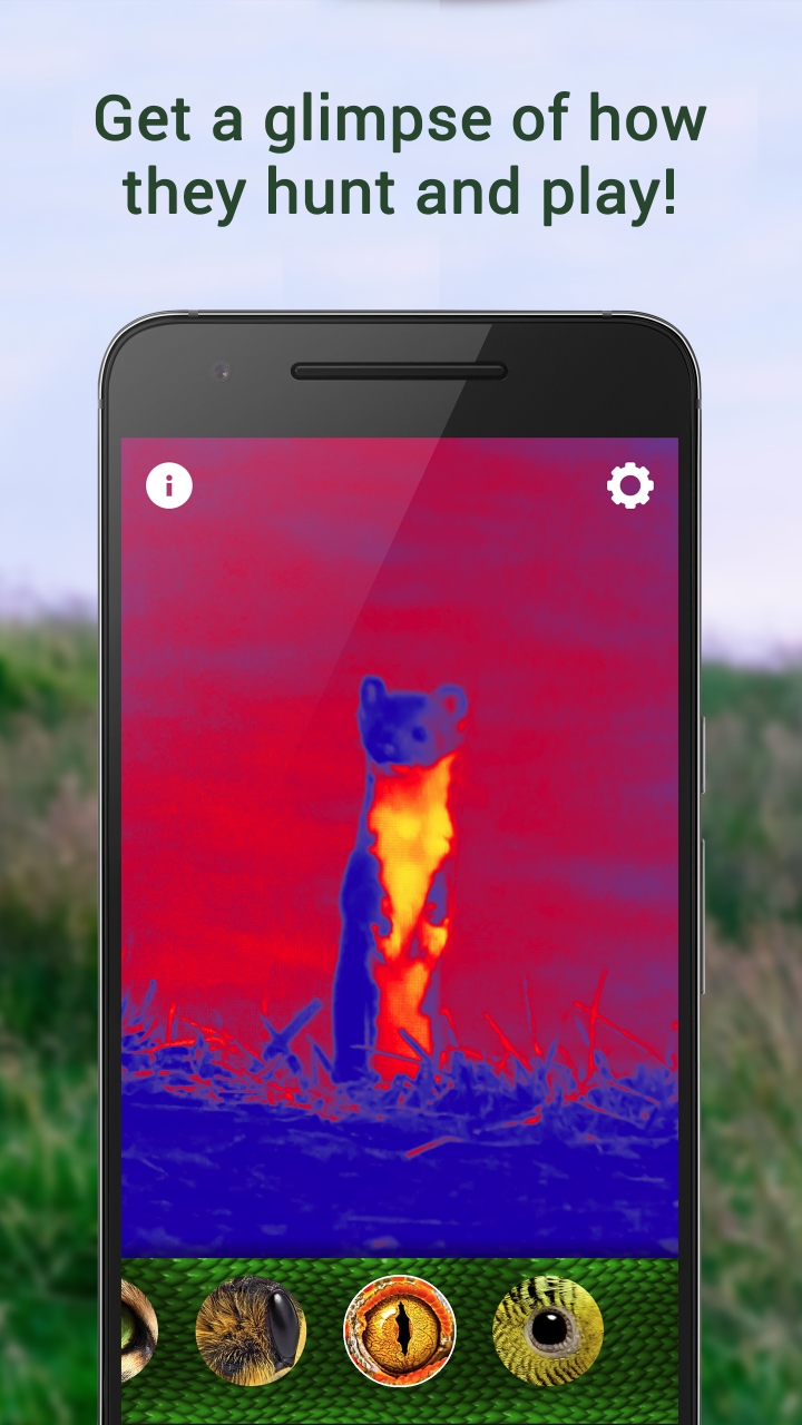 Animal Vision - App on Amazon Appstore