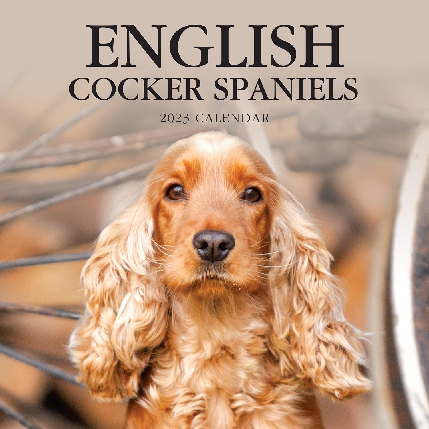 English Cocker Spaniels 2023 Large Wall Calendar, by Fresh Publishing ...