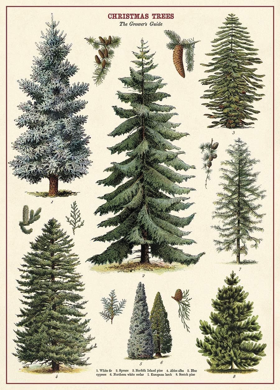 Amazon.com: Cavallini & Co. Christmas Tree Chart Decorative Paper Sheet