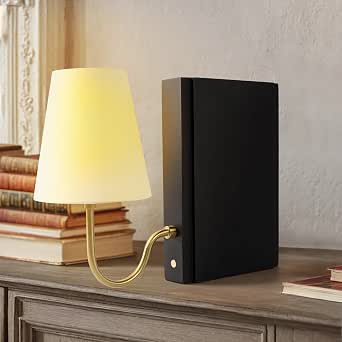 AELS Wooden Bookshelf Lamp with Bulb, Table Lamp with Linen Shade, 3 ...