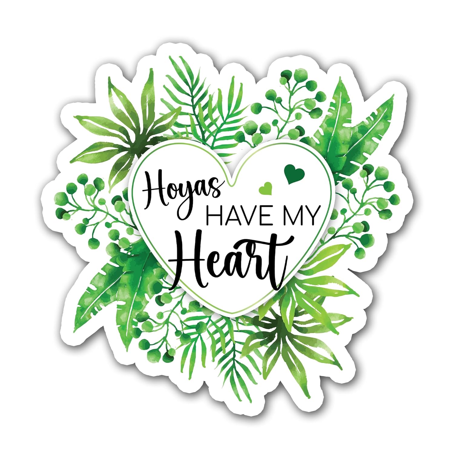 Amazon.com: Hoyas Have My Heart Stickers, Plant Stickers, Funny Plant ...