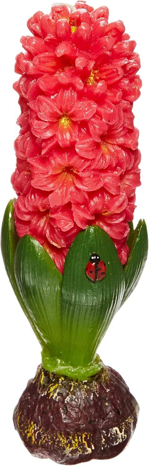 Amazon.com: Ladybug Candles 1031 Hyacinth Bulb Candle, Red : Home & Kitchen