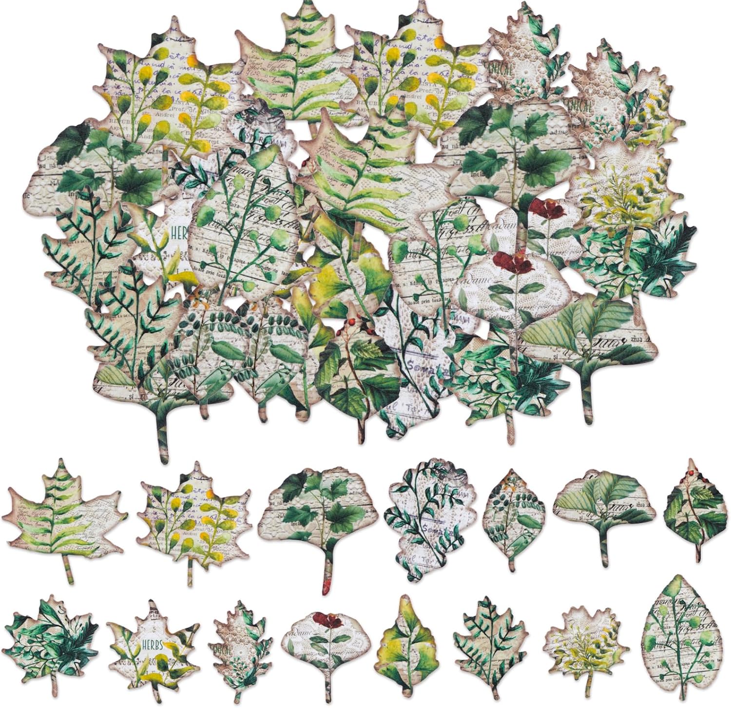45PCS Vintage Leaf Stickers,Special Shaped Leaf Collection Stickers for ...
