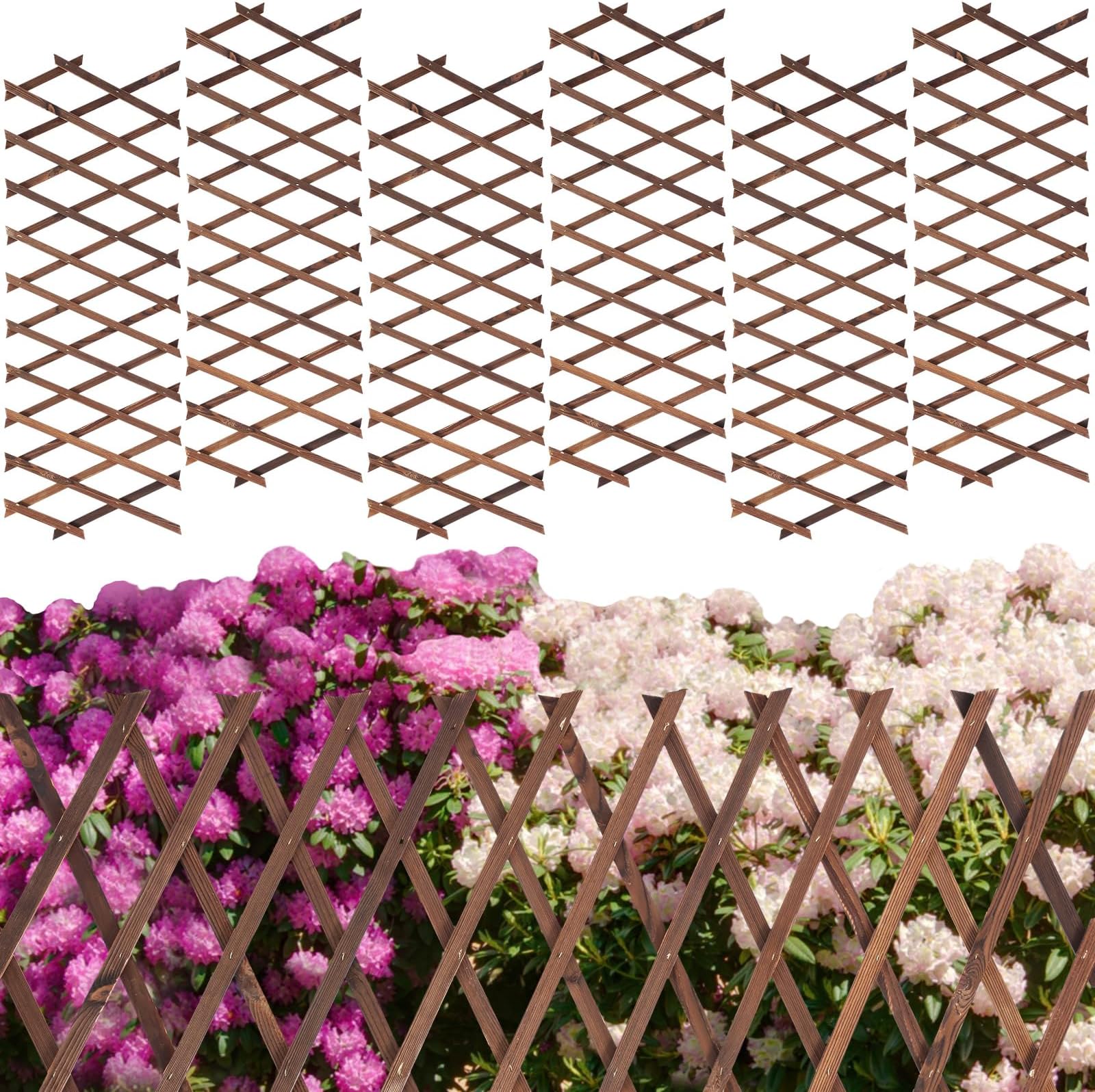 Amazon.com : Landical 6 Pcs Expandable Garden Trellis Stretchable ...