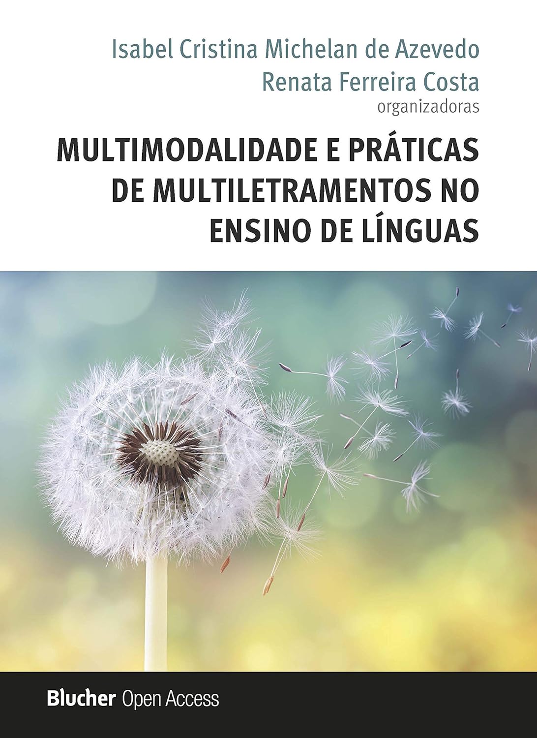 Multimodalidade e Práticas de Multiletramentos no Ensino de Línguas ...
