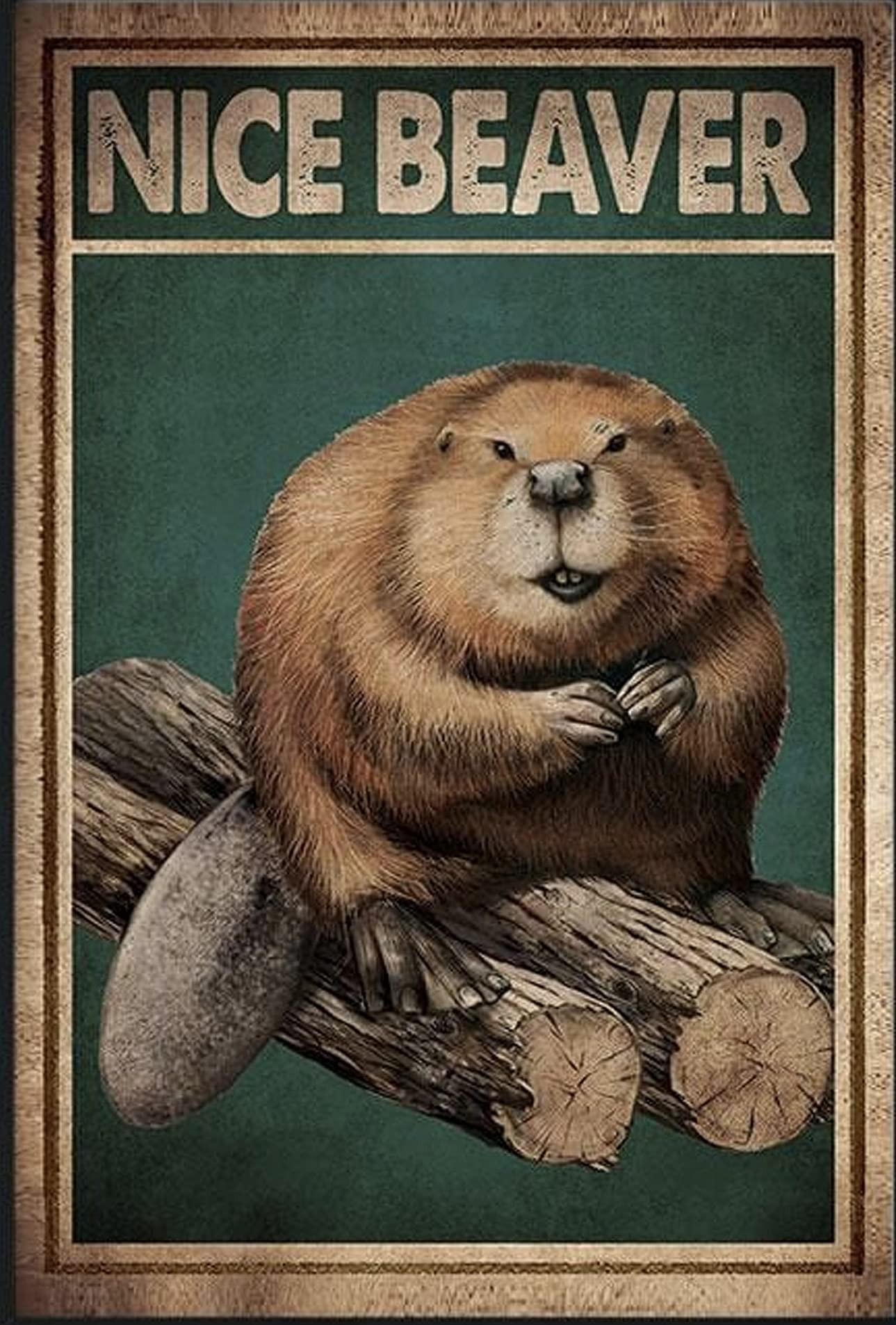 The Beaver Poster