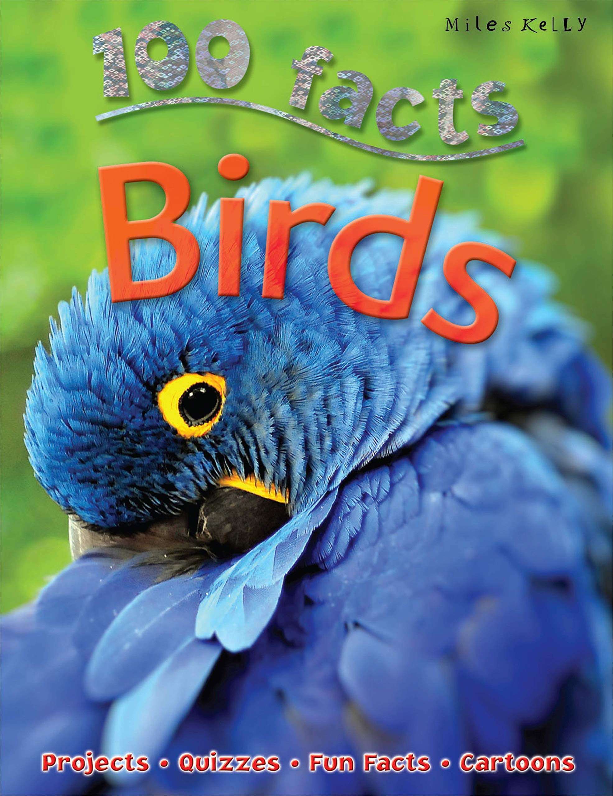 Facts About Birds Ubicaciondepersonas cdmx gob mx facts-about-birds-ubicaciondepersonas-cdmx-gob-mx