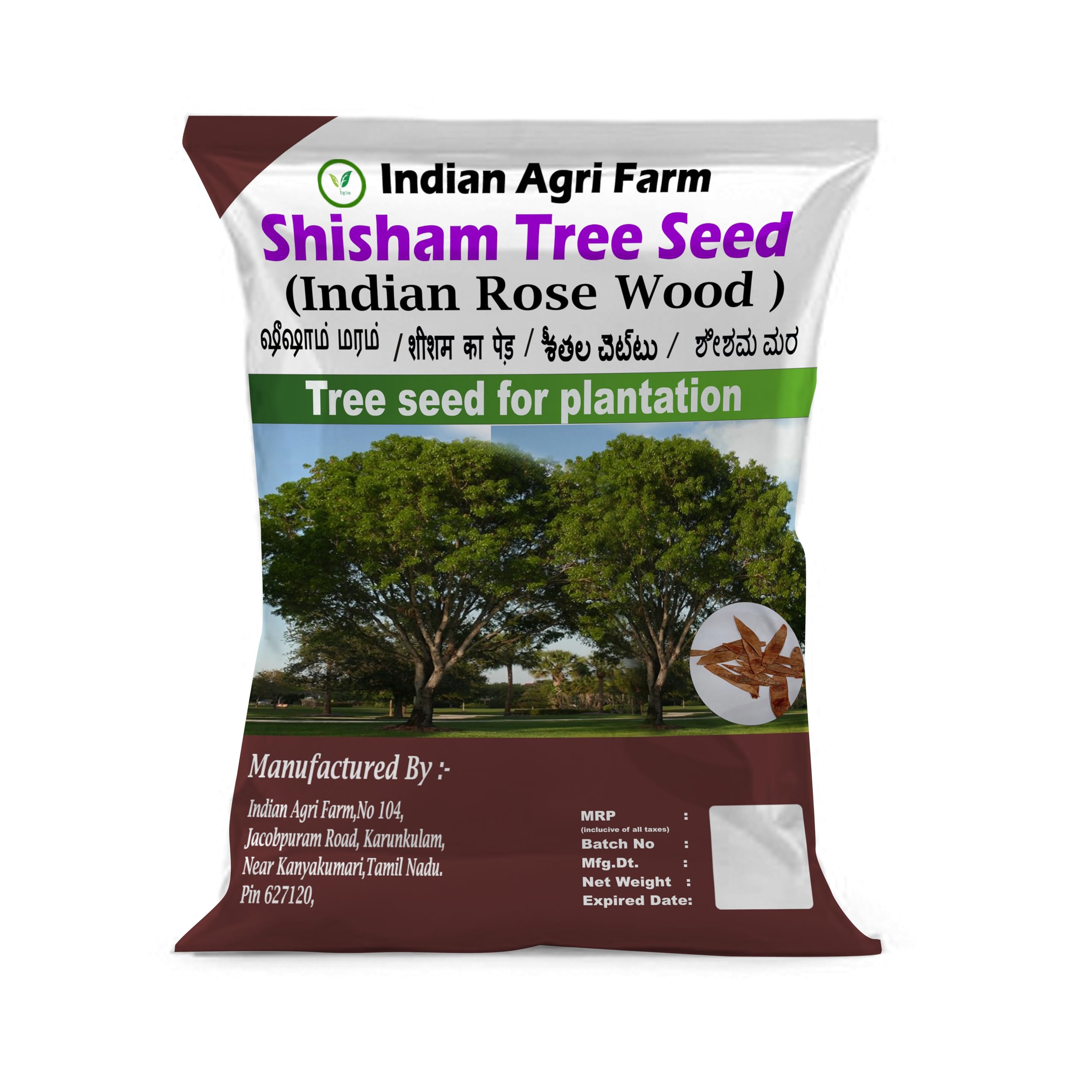 Iagrifarm Shisham plant/Dalbergia sisoo/Indian Rosewood/Sheesham plant ...