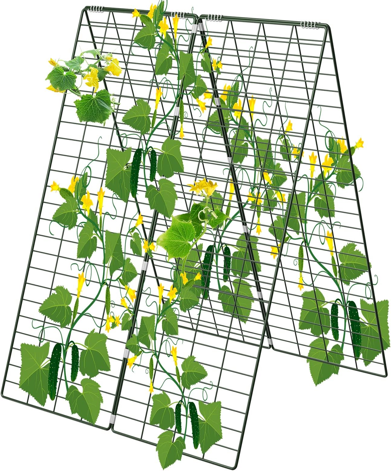 Amazon.com : 2 Pakcs 6 x 4 Feet Garden Trellis for Climbing Plants ...
