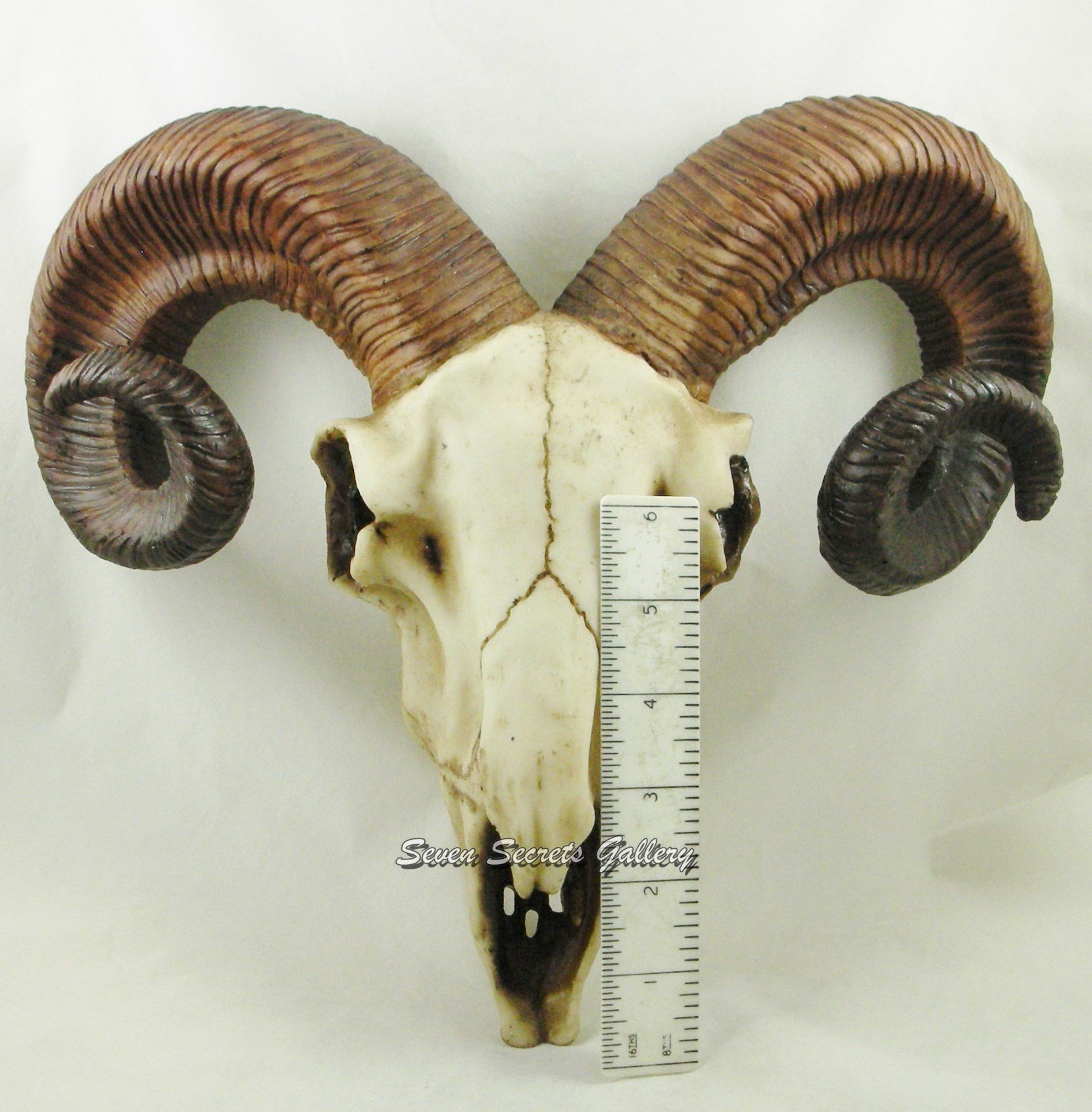 Contorno De Cráneo De Carnero Aries Símbolo Del Zodíaco Contorno