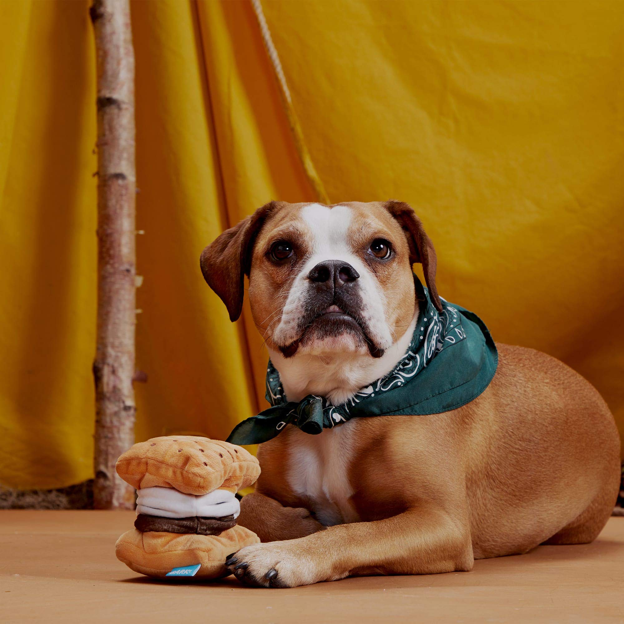 Snapklik.com : Dog Toy More SMore