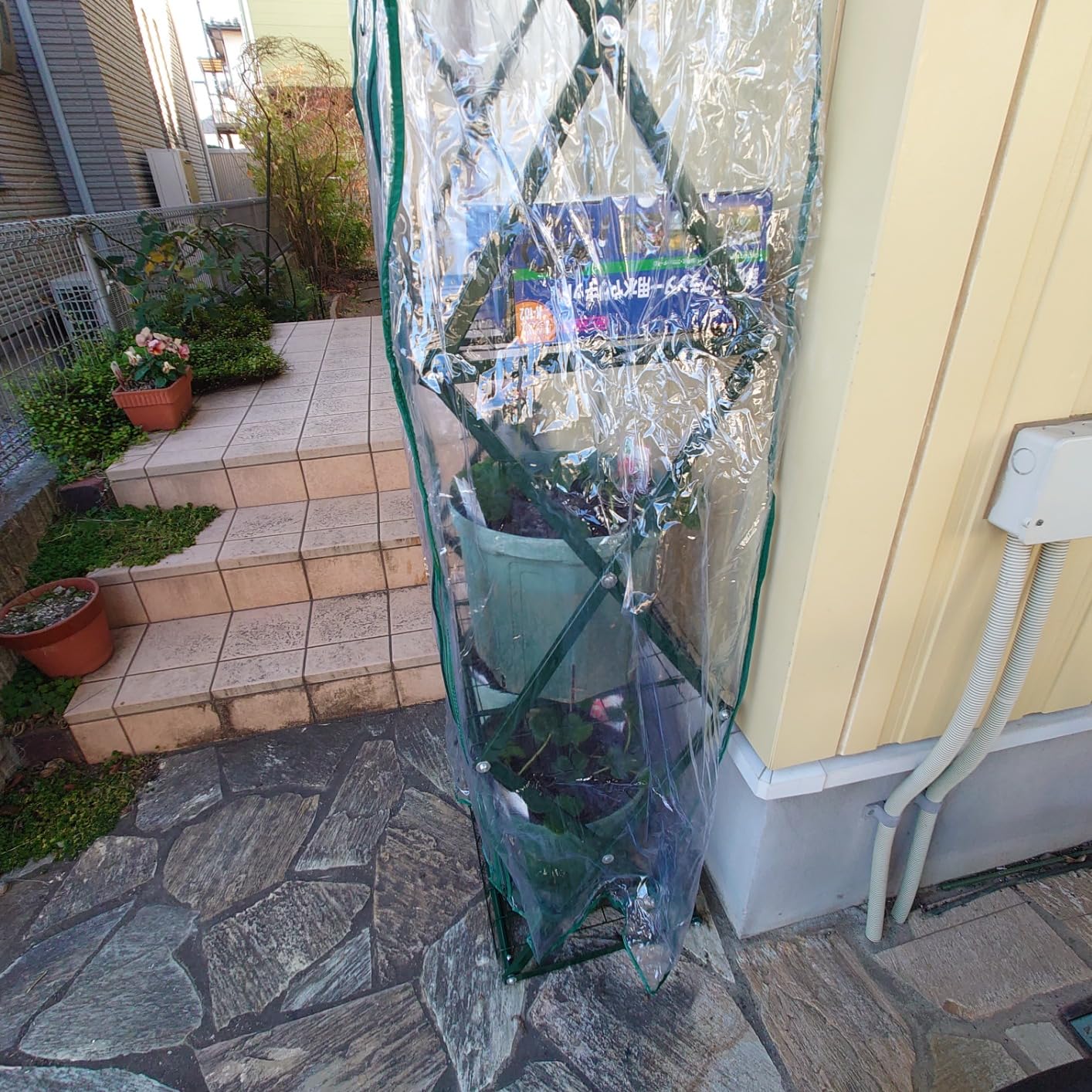 Amazon.co.jp: タカショー 温室 折りたたみ ダブルジップ温室 4段 幅69cm×奥行49cm×高さ159cm 【GRH-F03】 組立簡単 園芸 ビニールハウス 防寒カバー 植物 ...