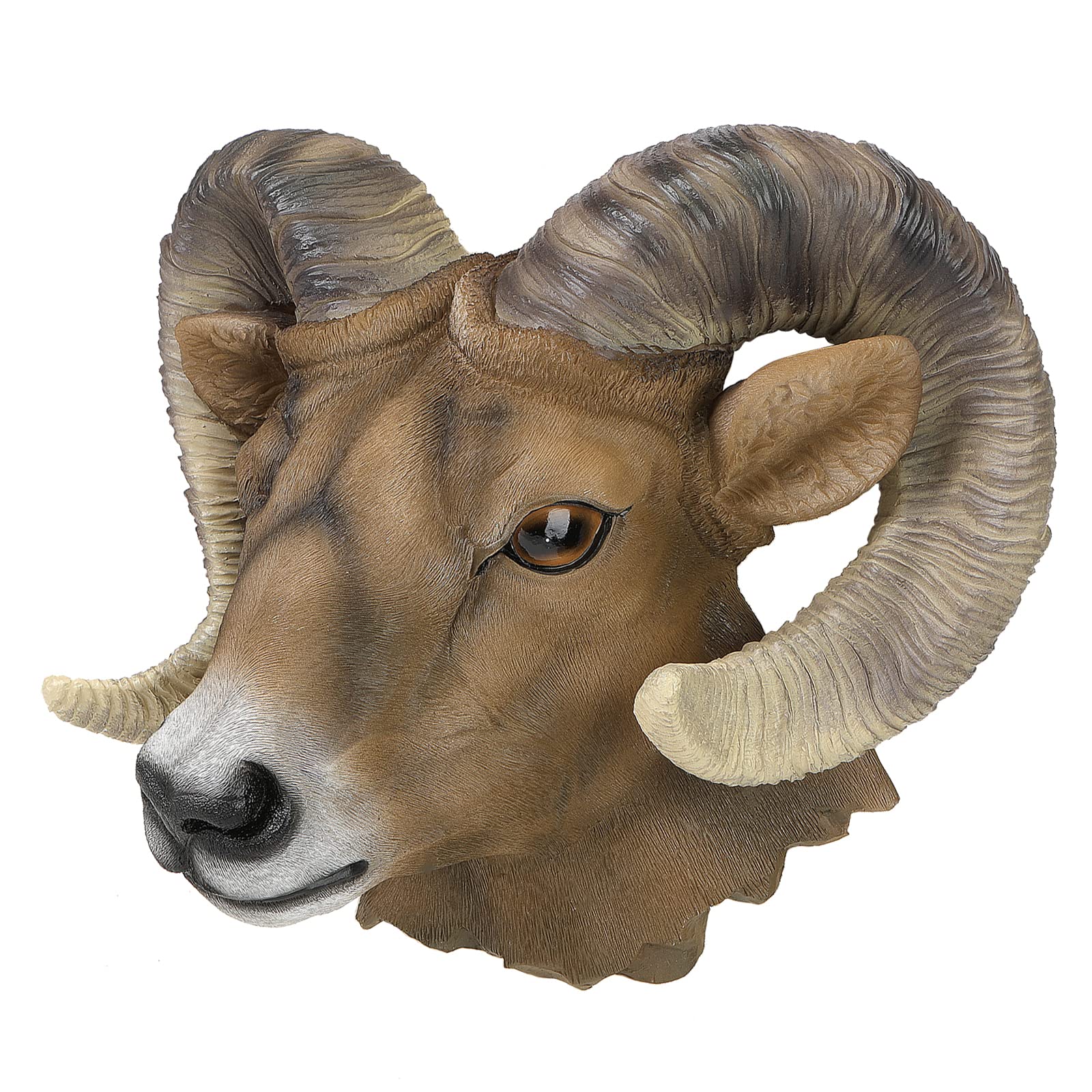 Ram Animal Head