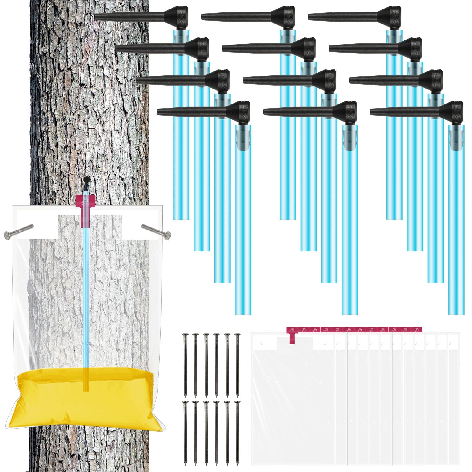 Amazon.com : Reallnaive 12 Set Maple Syrup Tapping Kit Maple Tree Sap ...