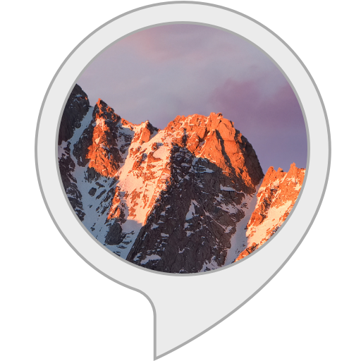 Amazon.com: null : Alexa Skills